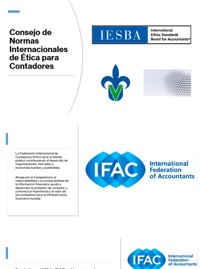 04 Iesba 2024 | PDF | Marco conceptual | Economias