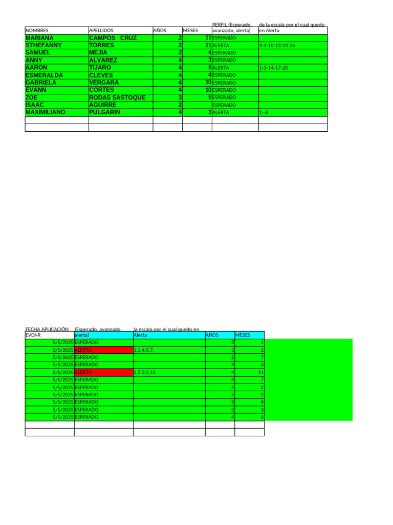 Excel Reporte Aplicacion Evcdi-R | PDF