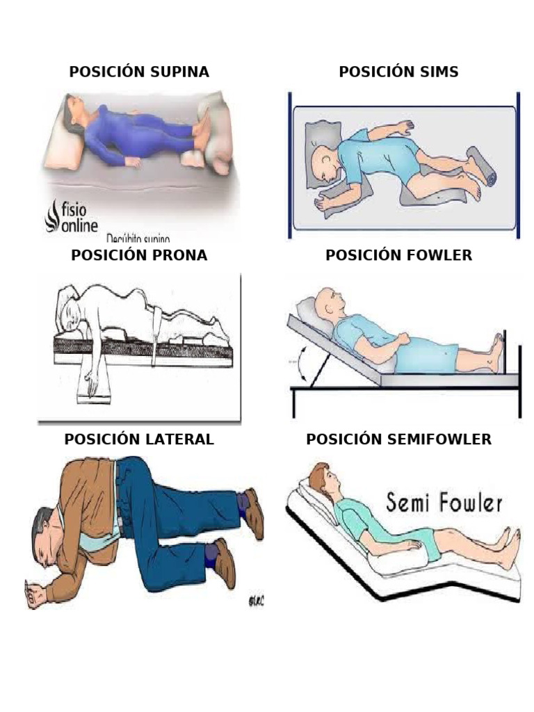 Posición Supina | PDF