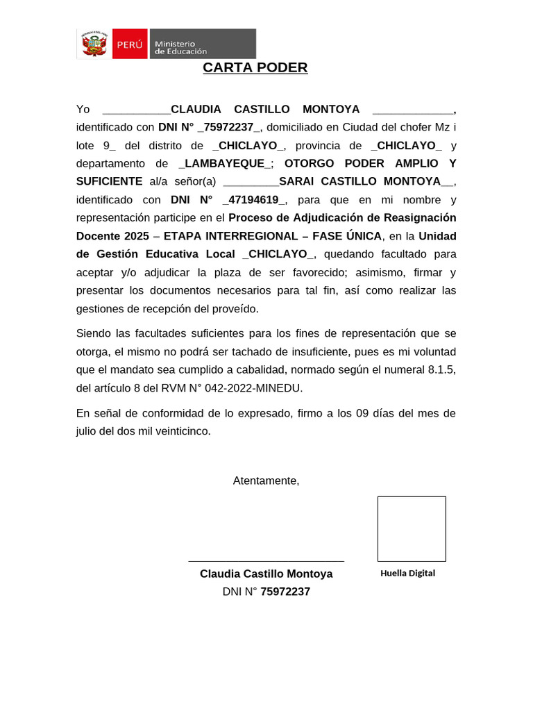 Carta Poder para Proceso Docente 2025 | PDF