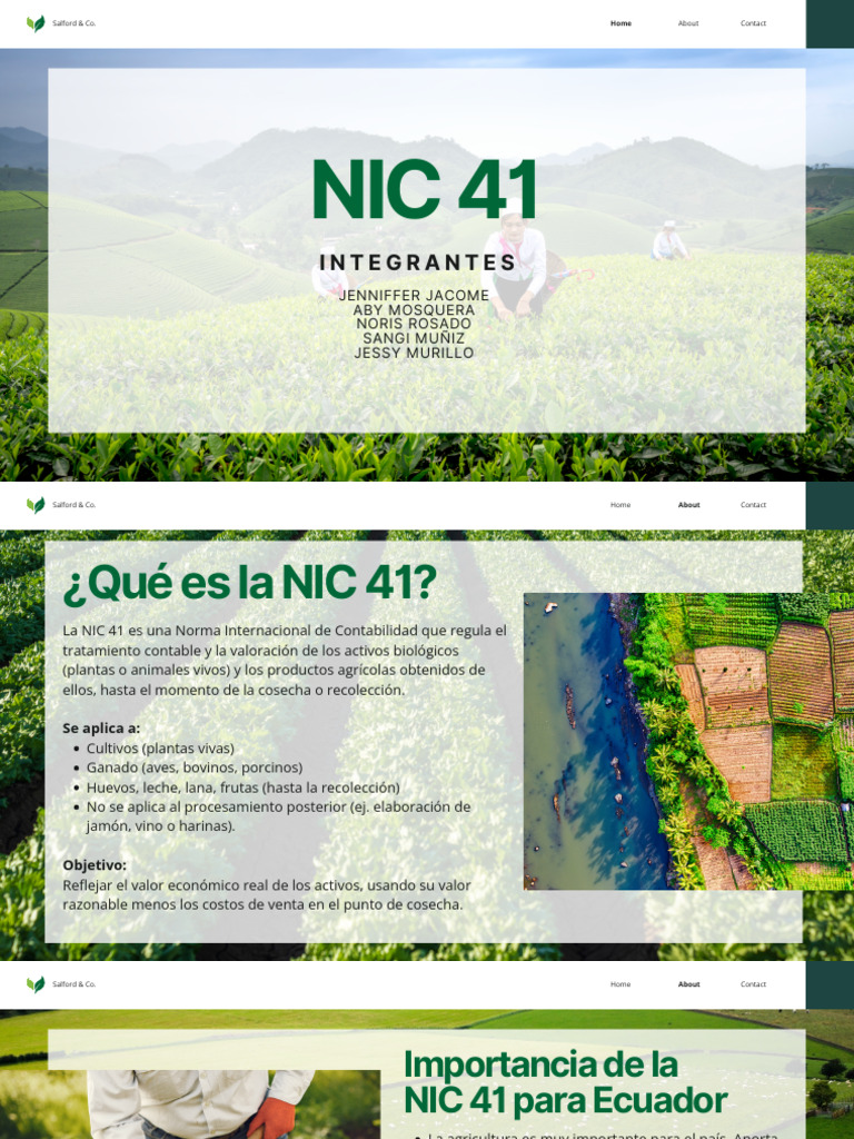 Importancia de la NIC 41 en Ecuador | PDF | Mercado (economía) | Ecuador
