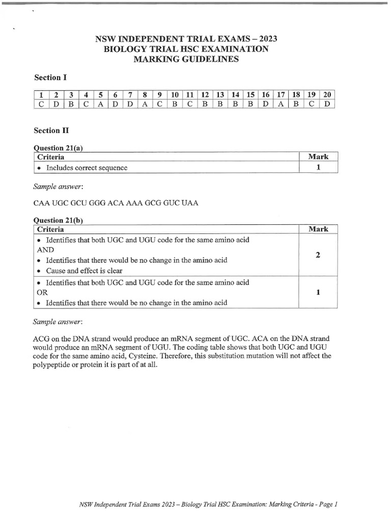 Independent 2023 Marking - Guidelines | PDF
