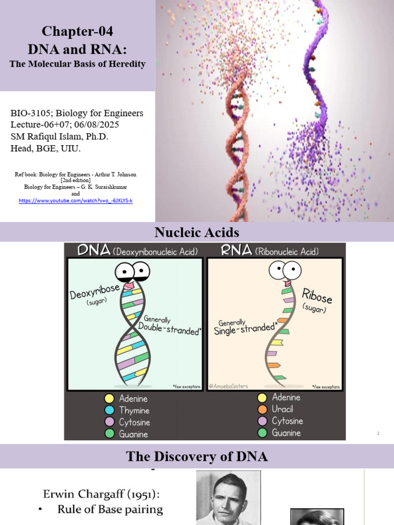 DNA and RNA: Molecular Genetics Overview | PDF | Rna | Dna