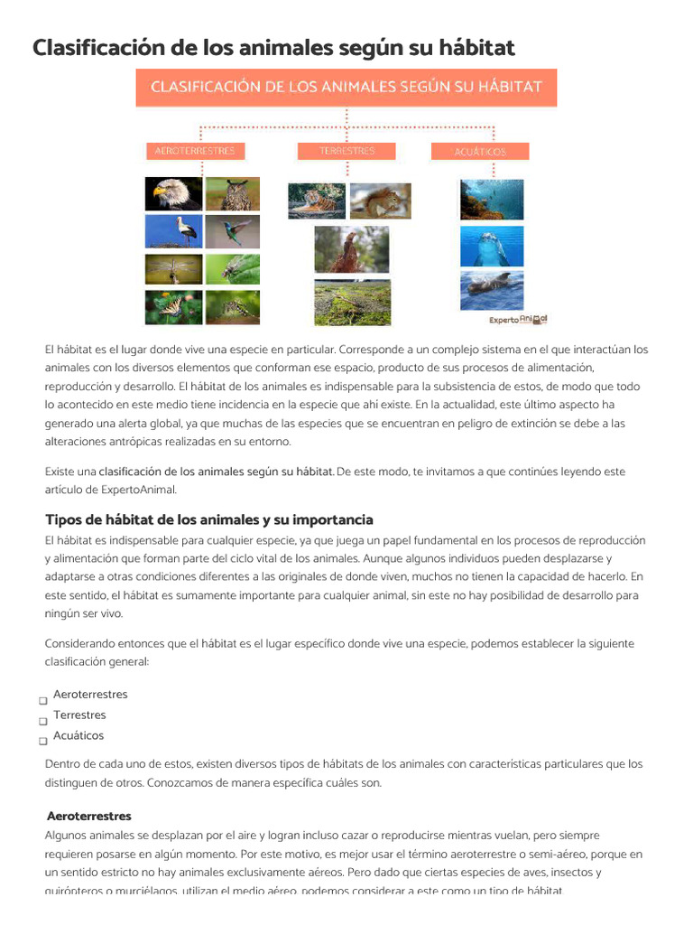 Clasificación de Los Animales Según Su Hábitat | PDF | Habitat | Murciélago