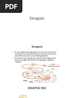 Clasificacion Sinapsis Tema 4 | PDF | Sinapsis | Neurona