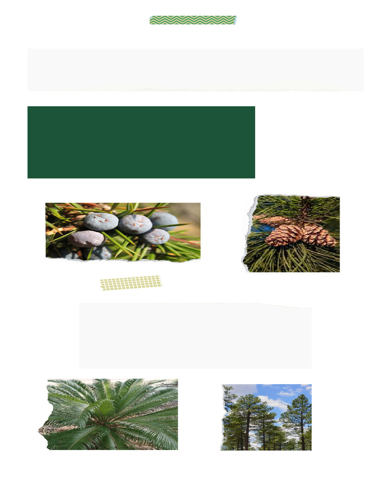 Infografía Superpoderes de Las Plantas Cómo Se Adaptan y Sobreviven ...