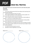 Microscope Lab: Cheek & Onion Cells | PDF | Staining | Microscopy