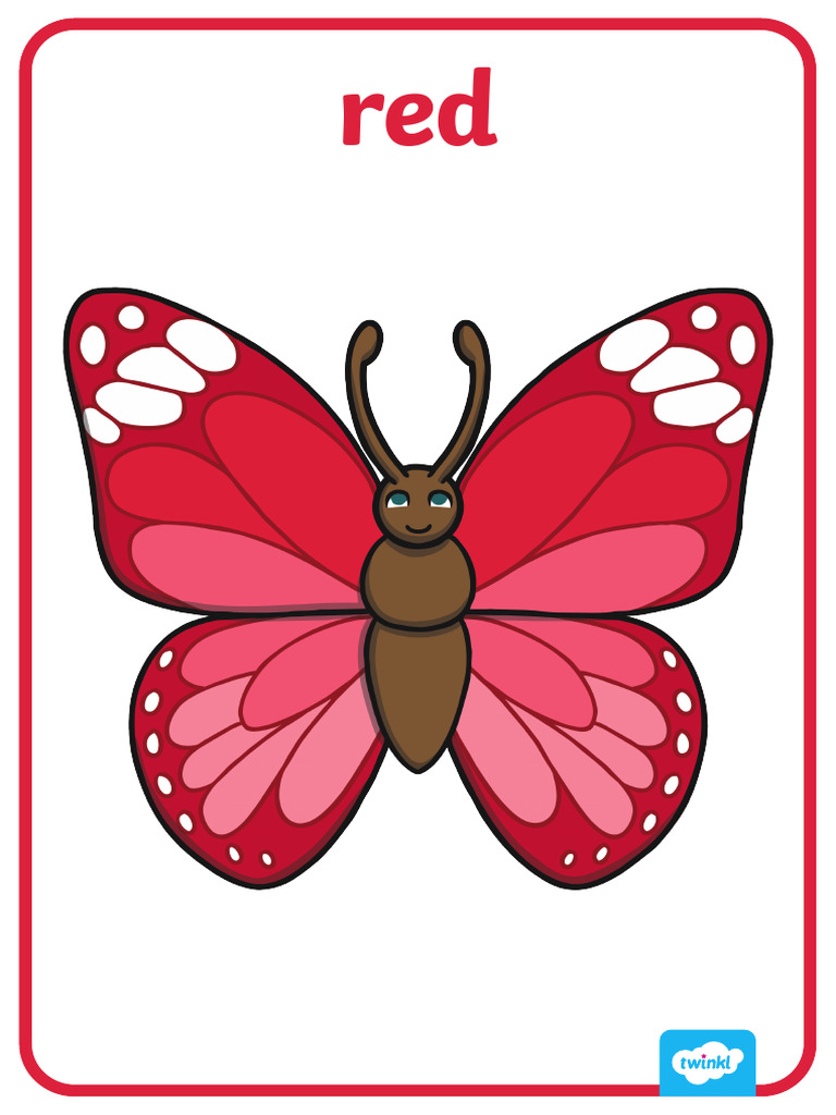 Colour Flash Card | PDF