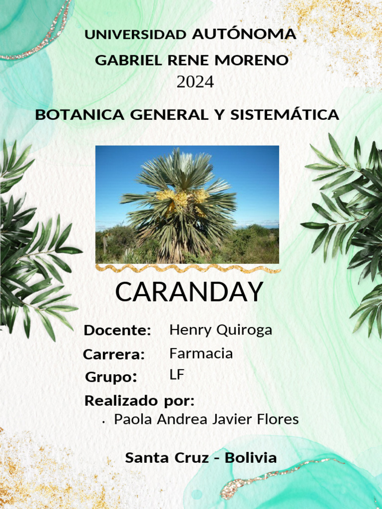 Usos y propiedades del Caranday en botánica | PDF | Artritis | Alergia