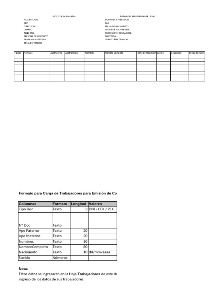 Nueva Trama SCTR VL | PDF