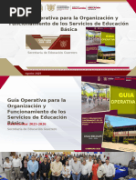 Guía de Operación SIIPP-G 2025 | PDF