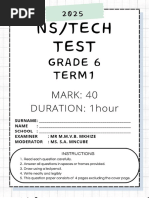 Grade 6 Natural Science Exam Memo | PDF | Foods | Plants
