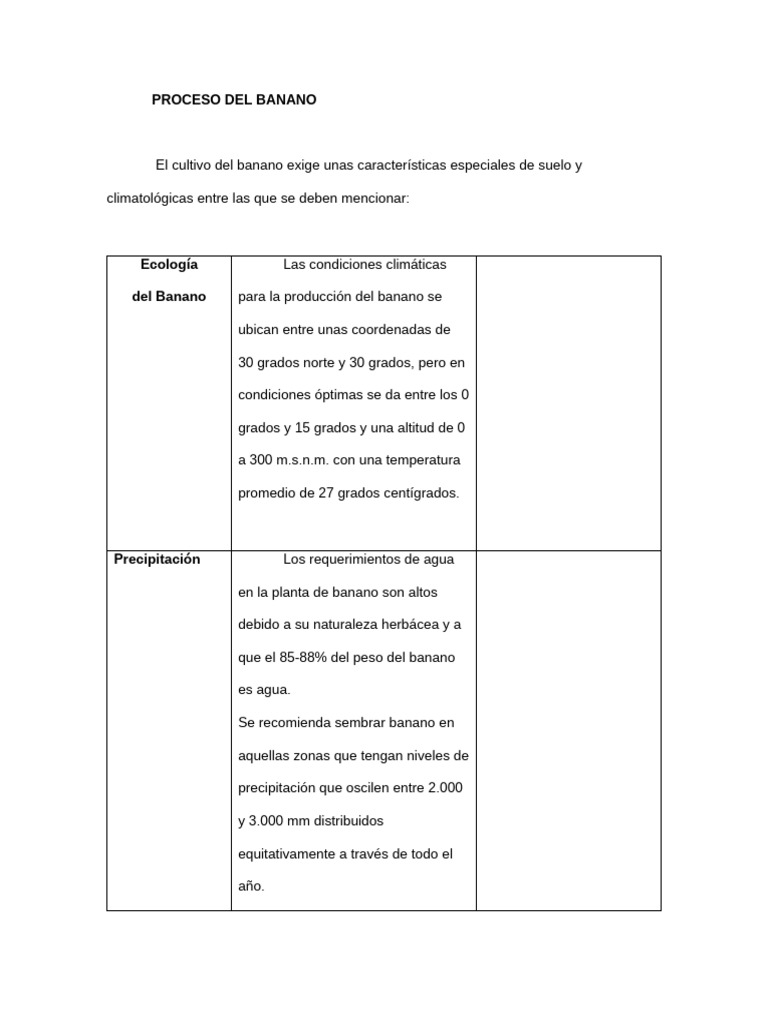 Proceso Del Banano | PDF | Fertilizante | Siembra