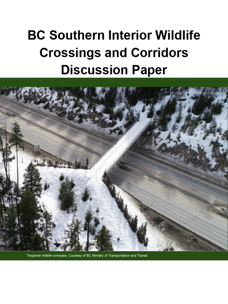 BC Southern Interior Wildlife Crossings and Corridors Discussion Paper ...