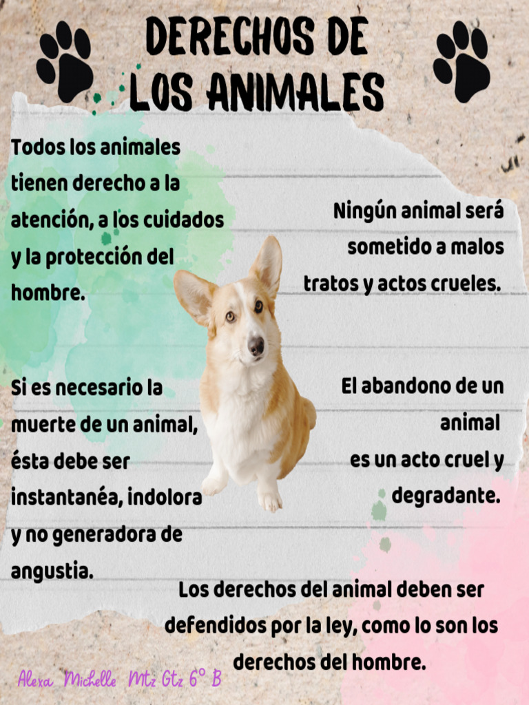 Derechos de los Animales y su Protección | PDF