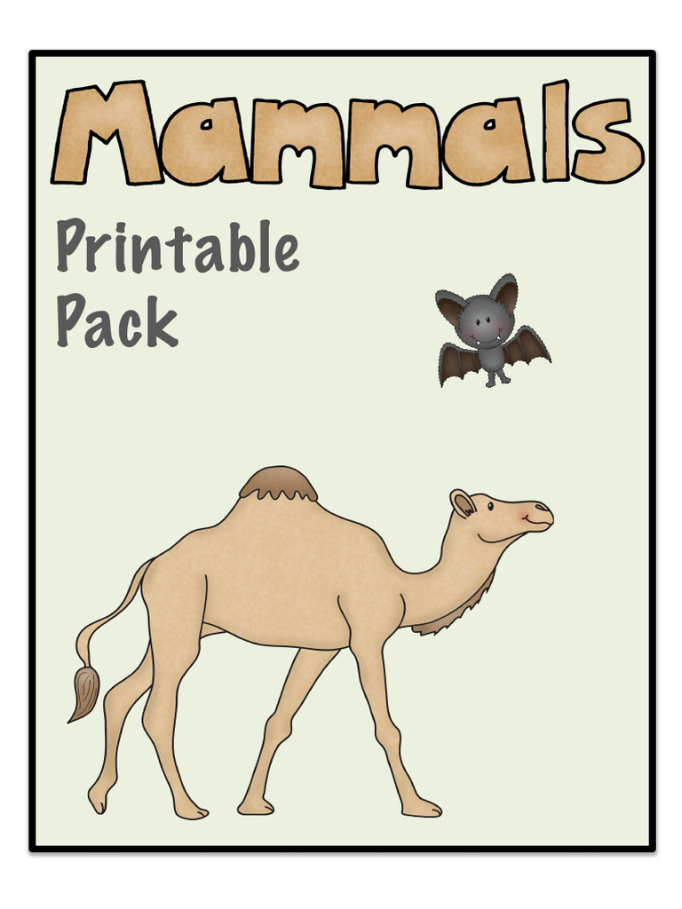 Mammals Learning Activities Pack | PDF