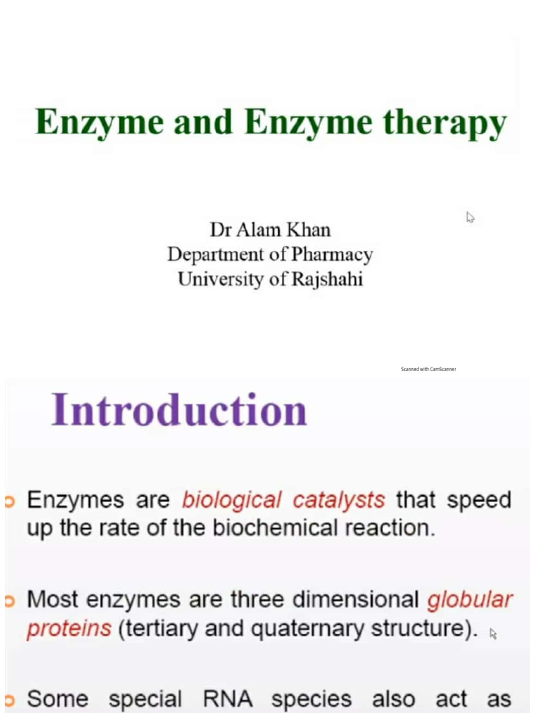 Enzyme and E Therapy | PDF