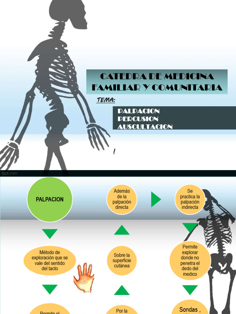 Percusion Palapacion Auscultacion | PDF | Sonido