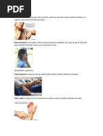 Ubicación del pulso cubital | PDF