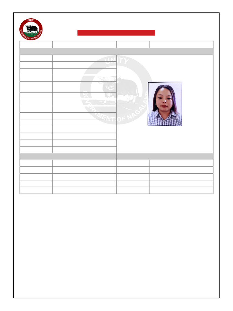 Nagaland Inner Line Permit Application | PDF