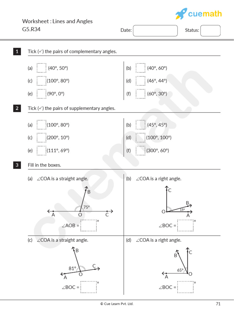Grade 5 Lines and Angles Worksheet | PDF | Classical Geometry ...