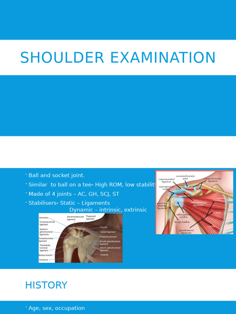 Comprehensive Shoulder Examination Guide | PDF | Shoulder | Anatomical Terms Of Motion