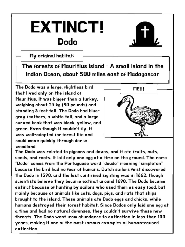 Animal Extinction Worksheet | PDF | Zoology