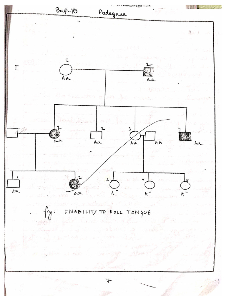 Class XII Practical-4 | PDF
