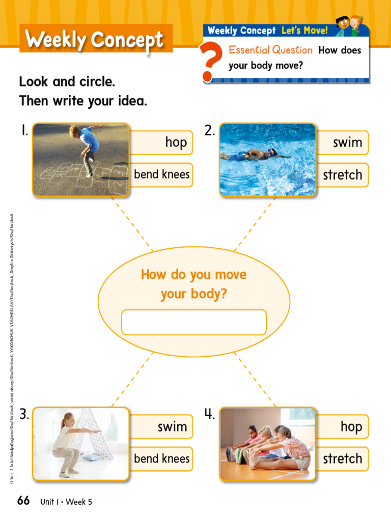 How Your Body Moves: Activities and Skills | PDF
