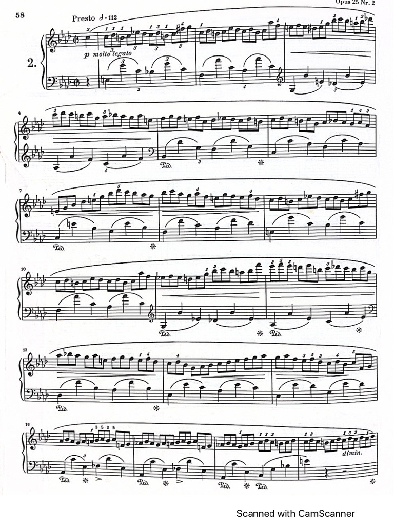 Chopin Etude Op25 No2 | PDF