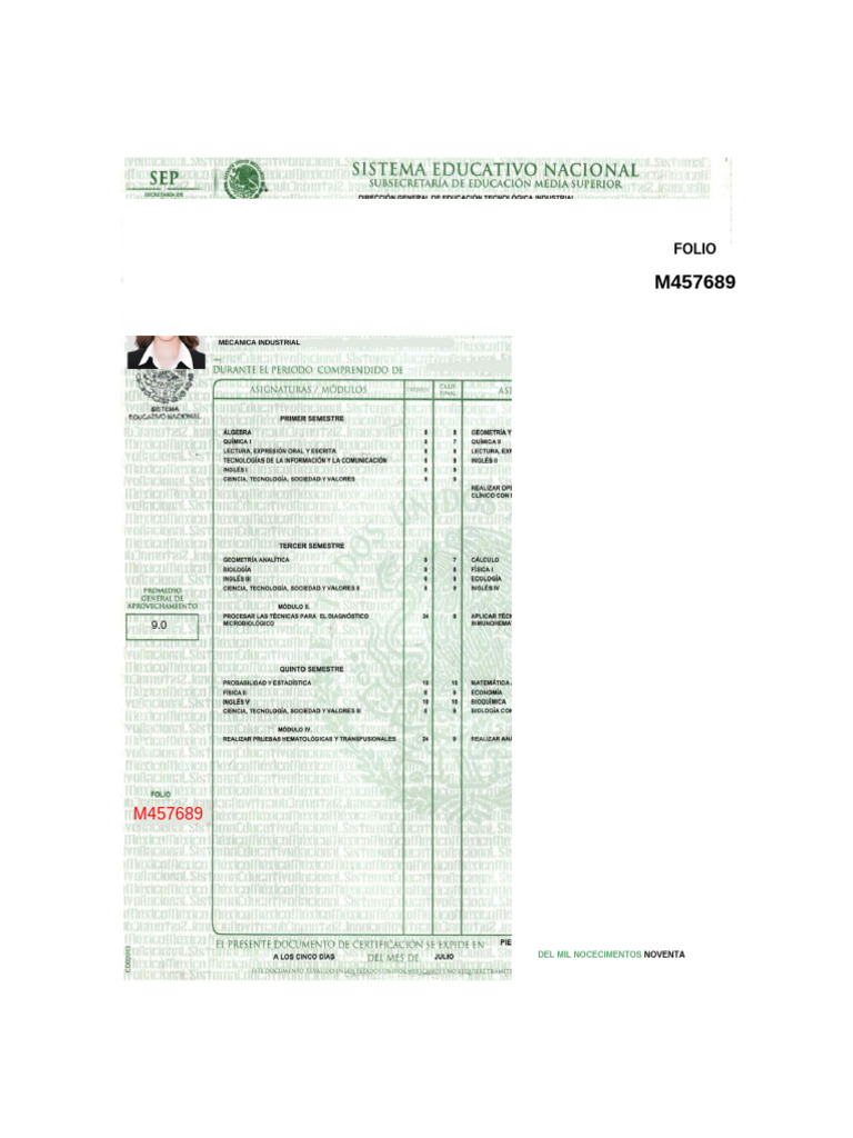 Certificado de Prepa-2024 - Tania | PDF