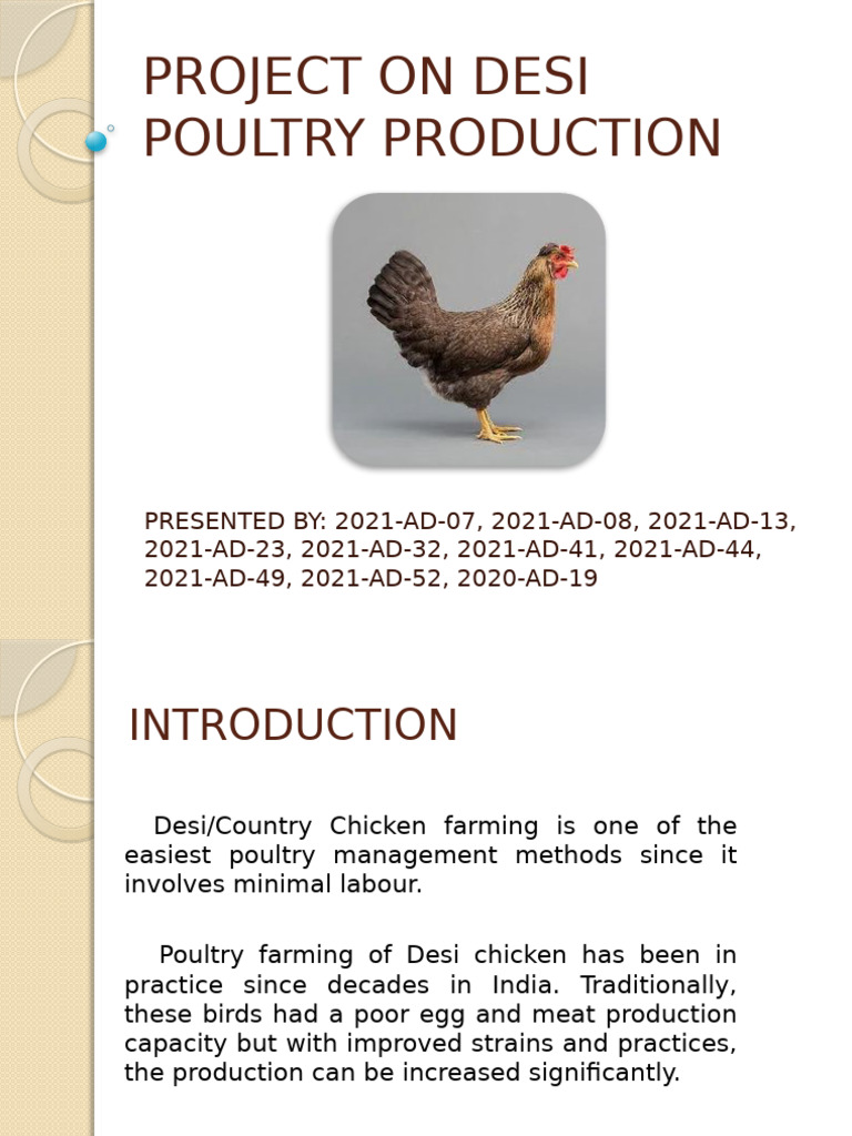 Desi Poultry Production Project Report | PDF | Poultry Farming | Chicken