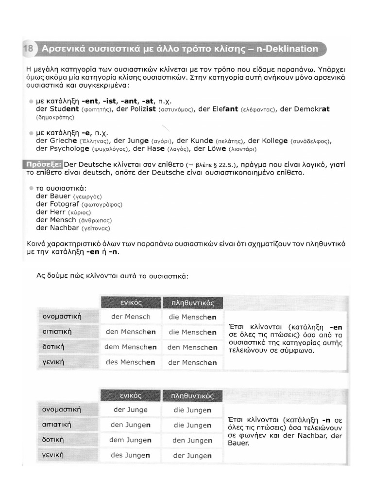 N Deklination | PDF