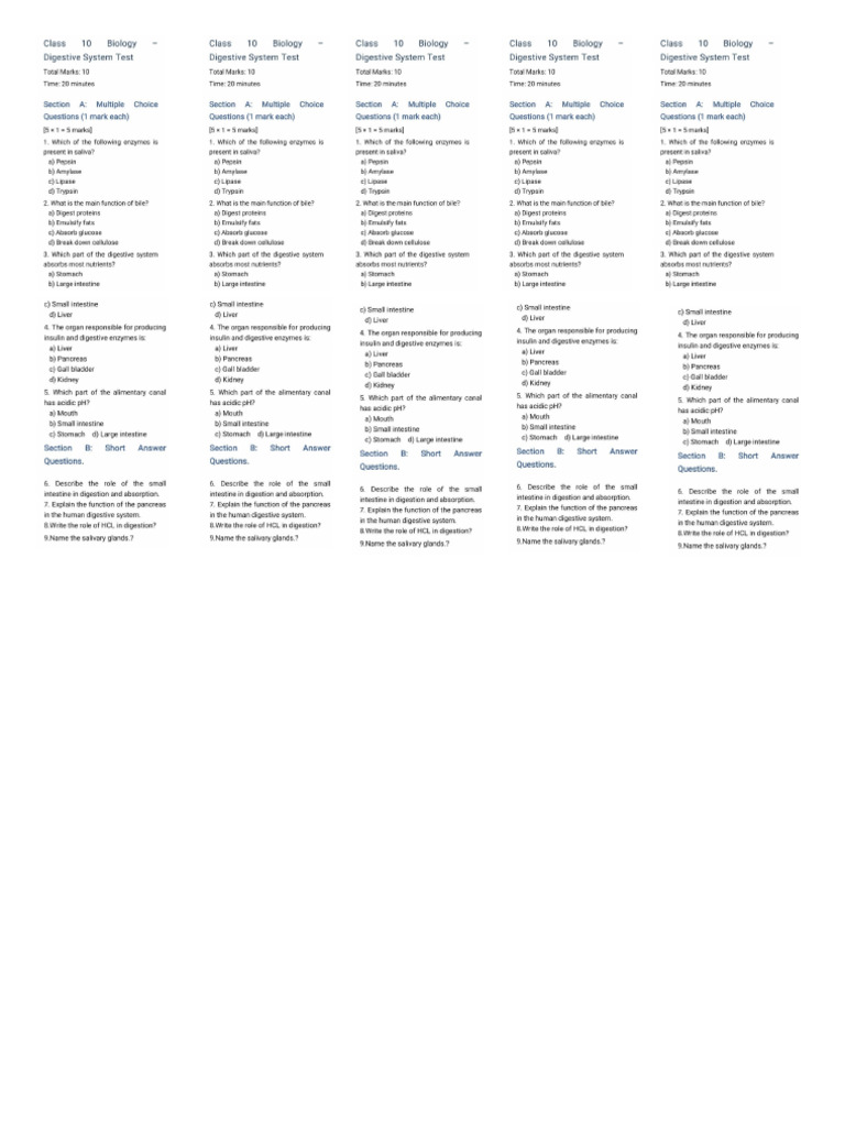Bio 10th Digestive | PDF