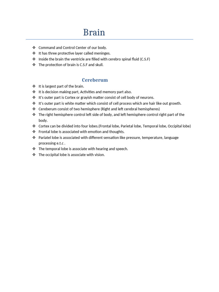 Brain | PDF