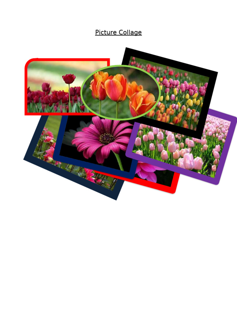 Collage | PDF