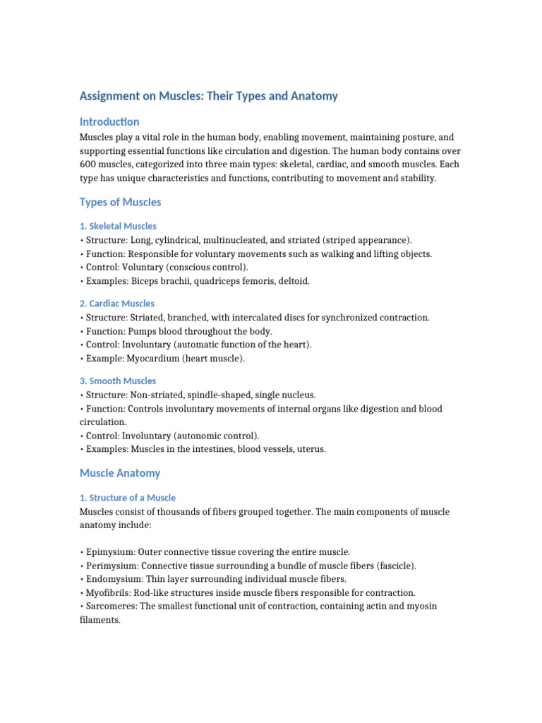 Muscles Anatomy Assignment | PDF | Muscle | Muscle Contraction
