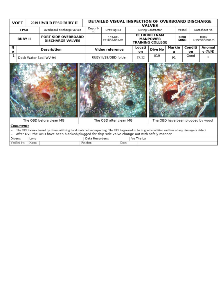 DVI Overboard Discharge | PDF