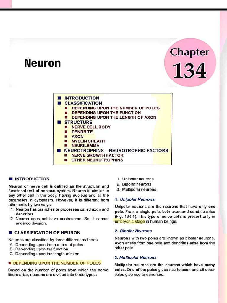Block-B Jaypee | PDF