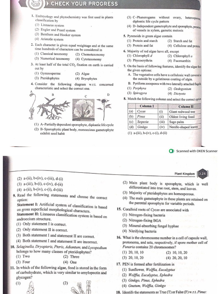 Plant Kingdom Test | PDF