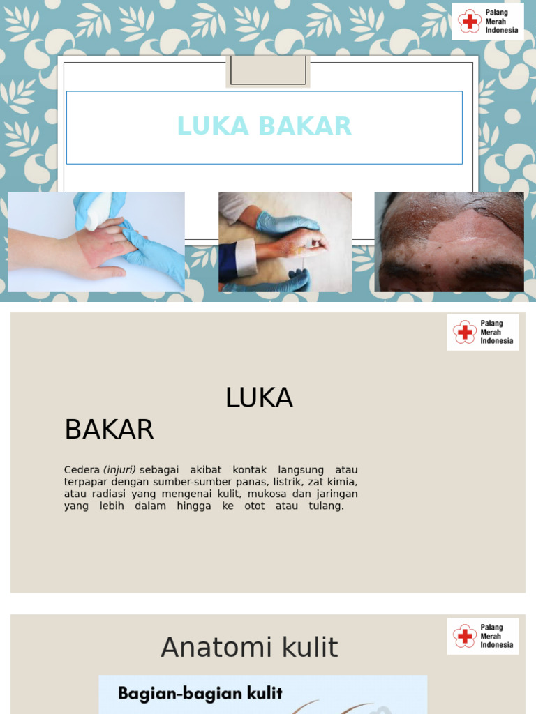 LUKA BAKAR | PDF