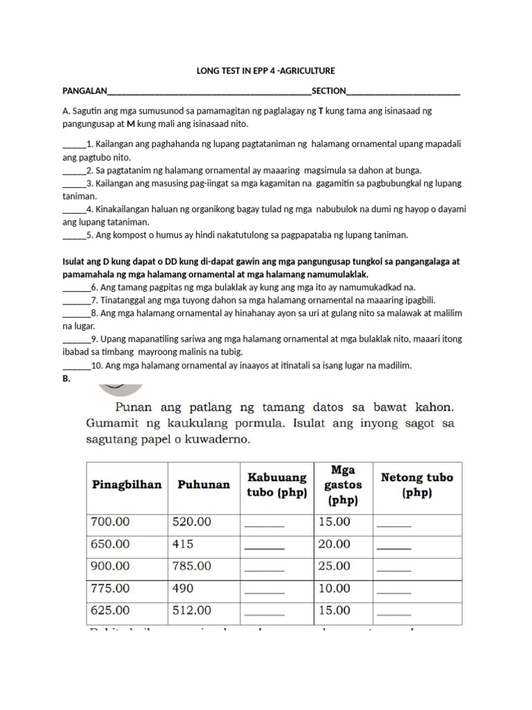 Epp Diagnostic Test | PDF