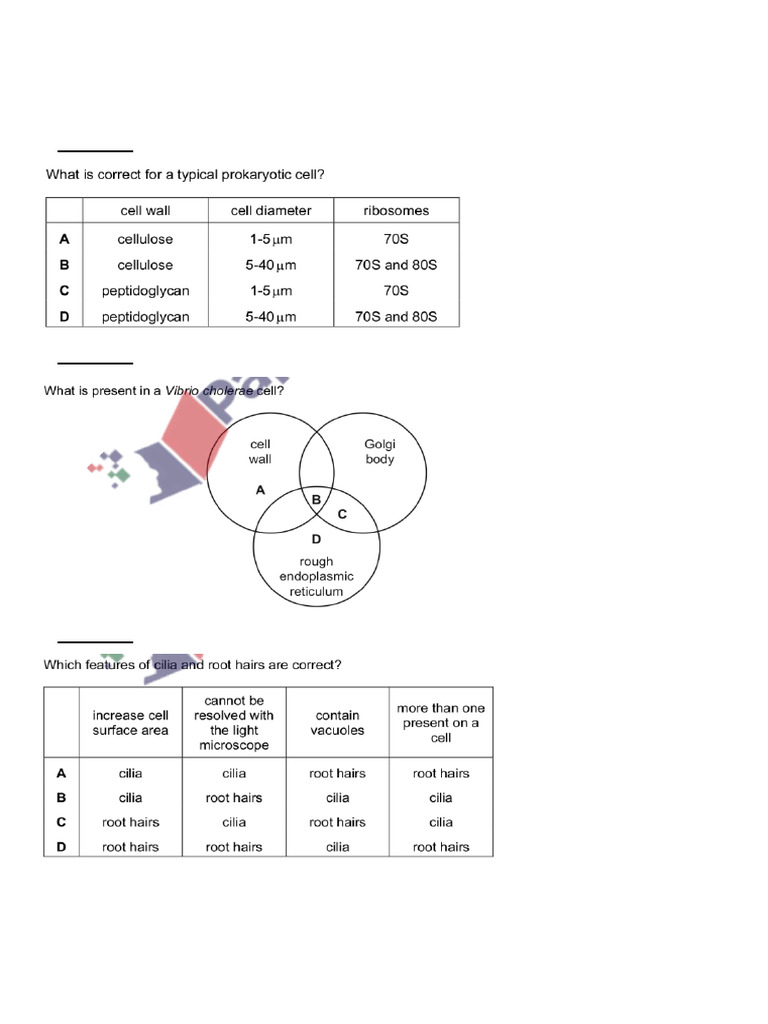 Test 2 Cell Structure and Function | PDF