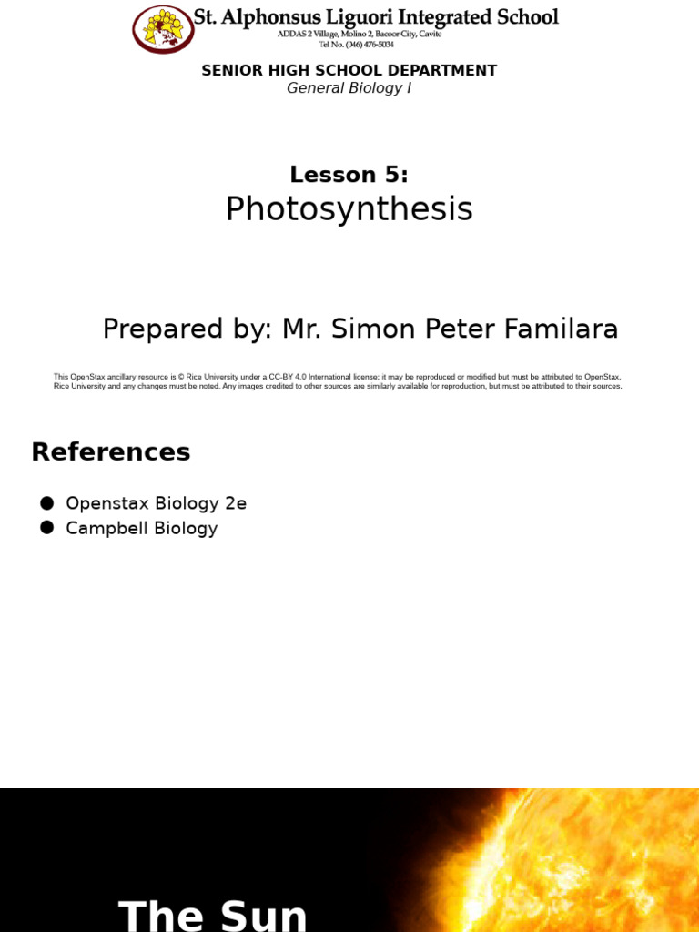 Understanding Photosynthesis Processes | PDF | Photosynthesis ...