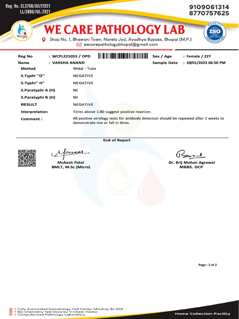 Downloads Report2 | PDF