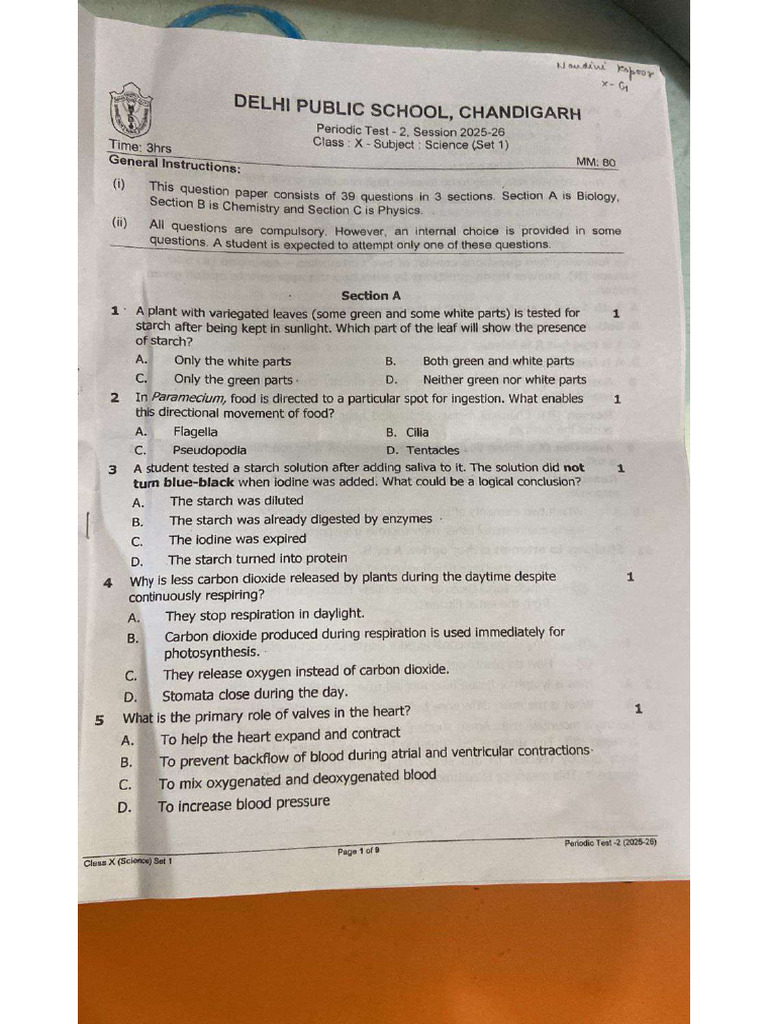 DPS Science Paper | PDF