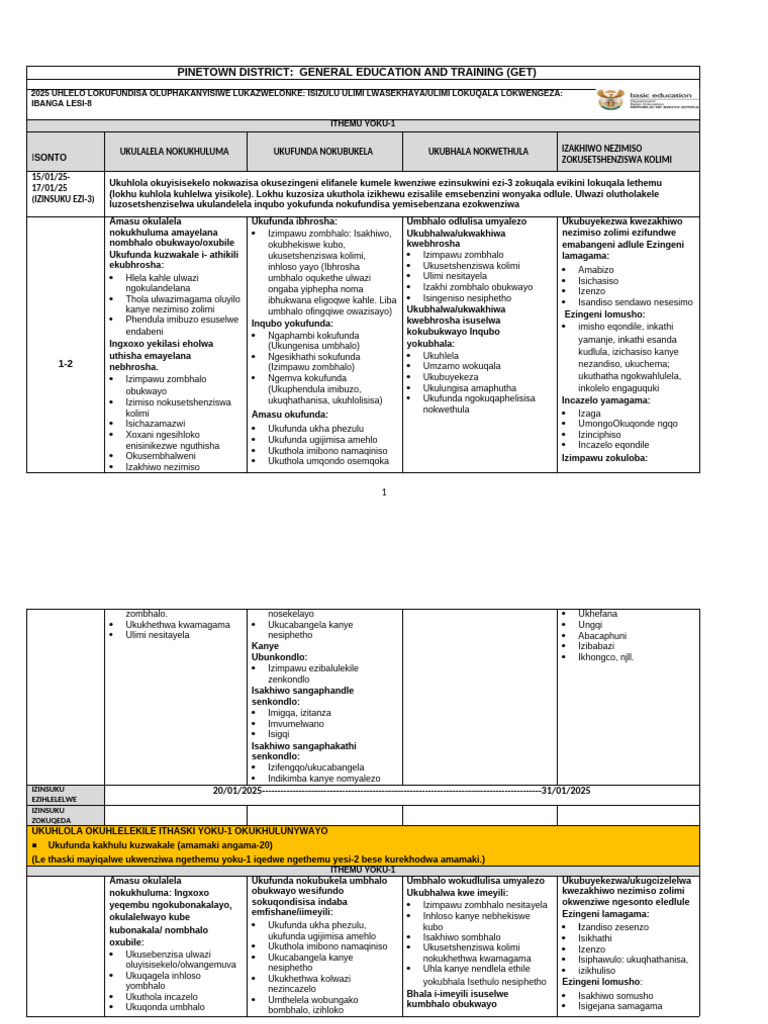 Isizulu Grade 8 ATP 2025 Overview | PDF