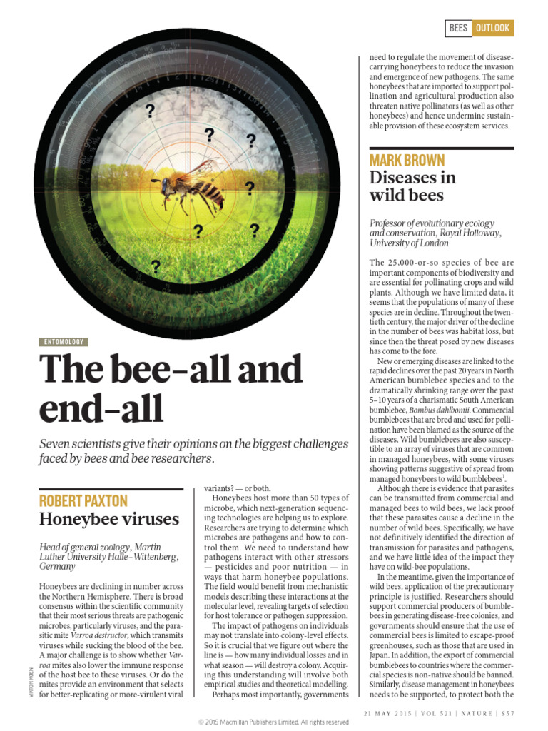 Entomology The Bee | PDF | Honey Bee | Bees
