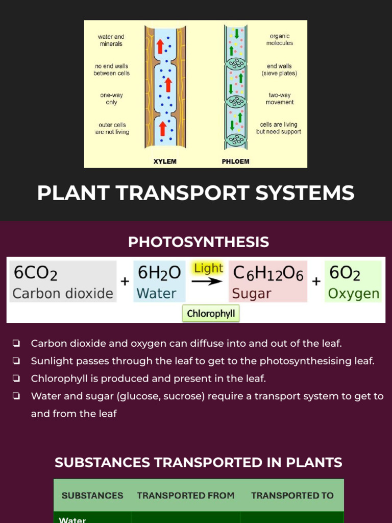 Plant Transport Systems (F2) | PDF | Botany | Plants