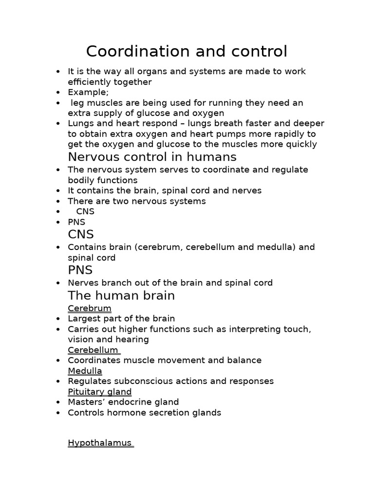 Human Nervous System Coordination Explained | PDF | Central Nervous ...